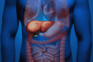 Is Kava Addictive? Understanding Its Effects and Risks