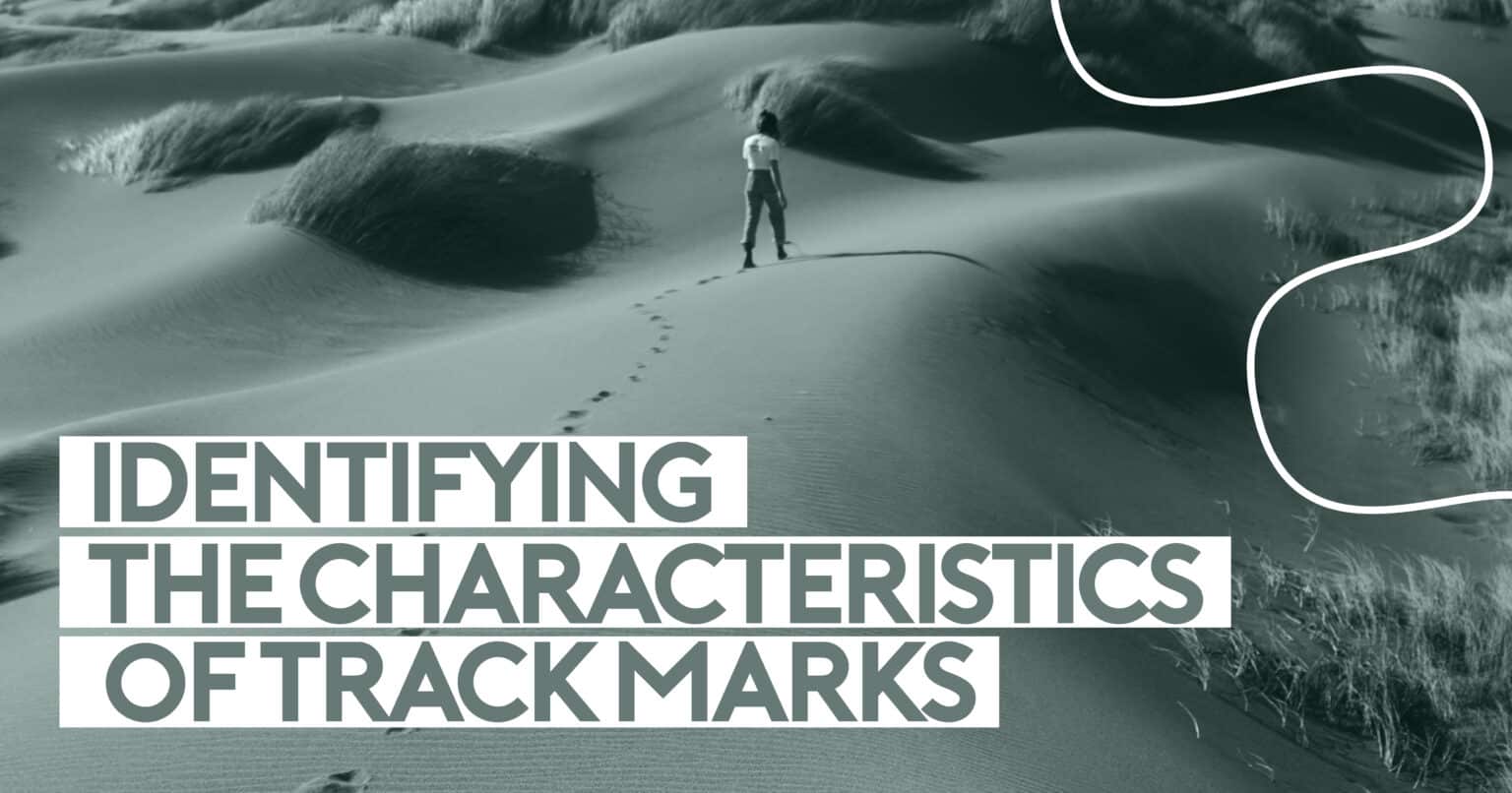 What Do Track Marks Look Like - Key Identification Features