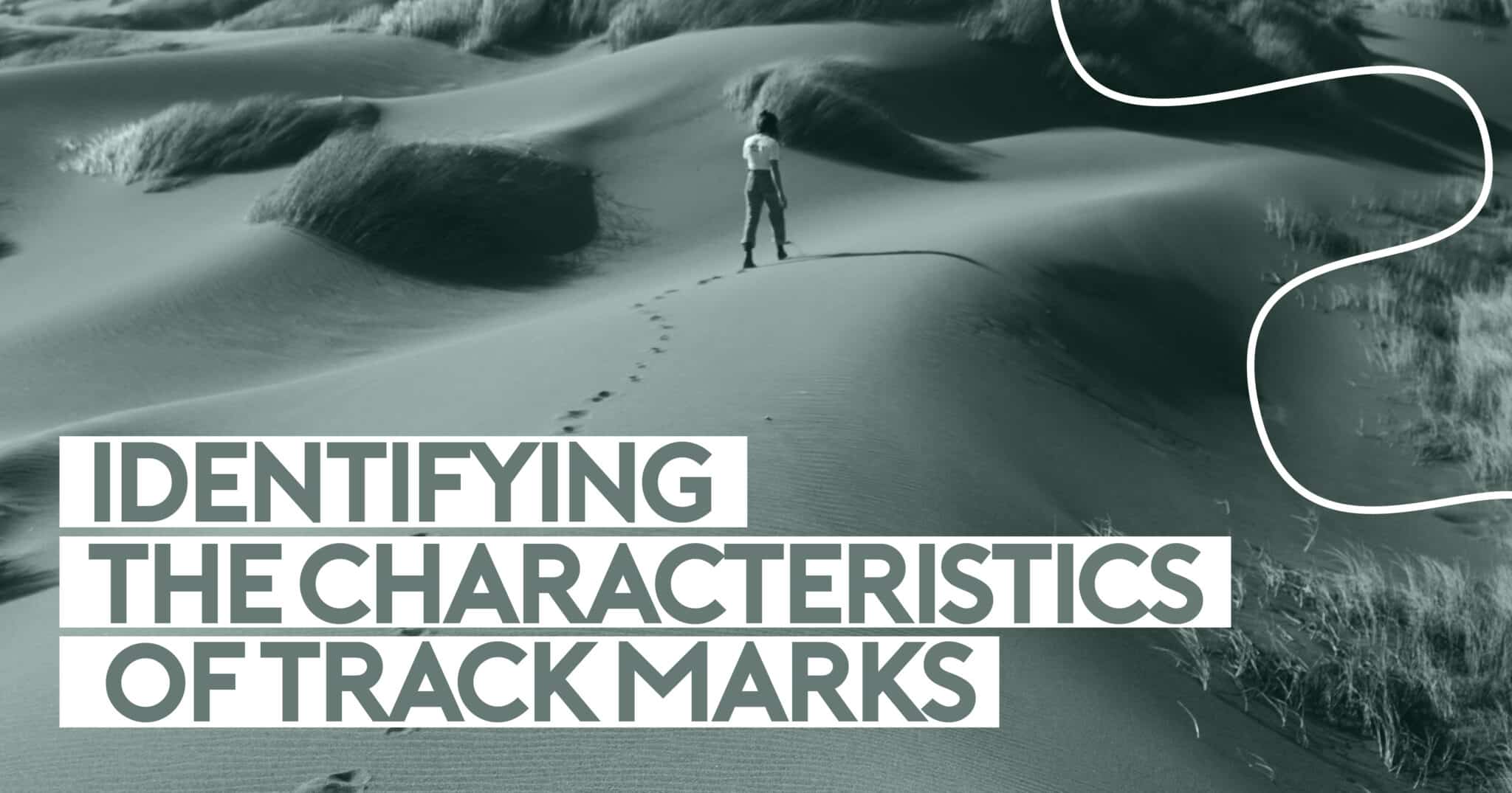 What Do Track Marks Look Like - Key Identification Features