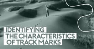 What Do Track Marks Look Like - Key Identification Features